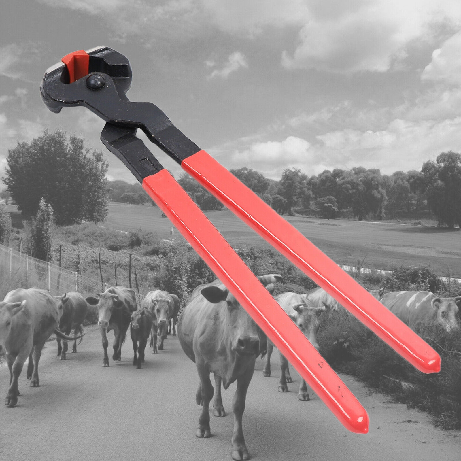 Denest Horse Hoof Trimming Farrier Tool Kit 3-in-1 Horseshoe File Rasp ...