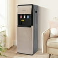 DENEST Bottom Loading Water Cooler Dispenser, 500W Hot & Cold Water ...