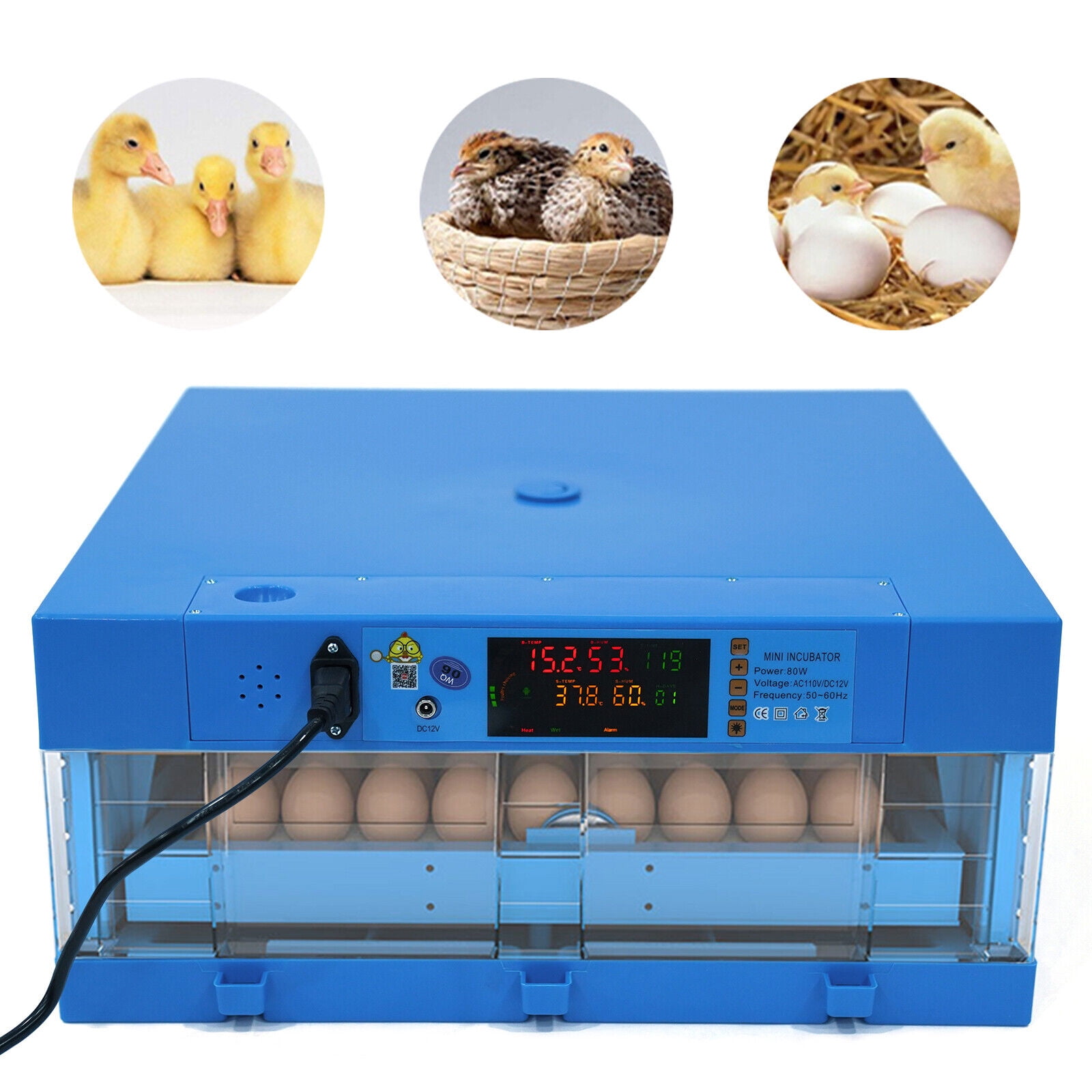 DENEST Chicken Quail Chick Hatcher Incubators Automatic Egg Incubator For Hatching Eggs ...