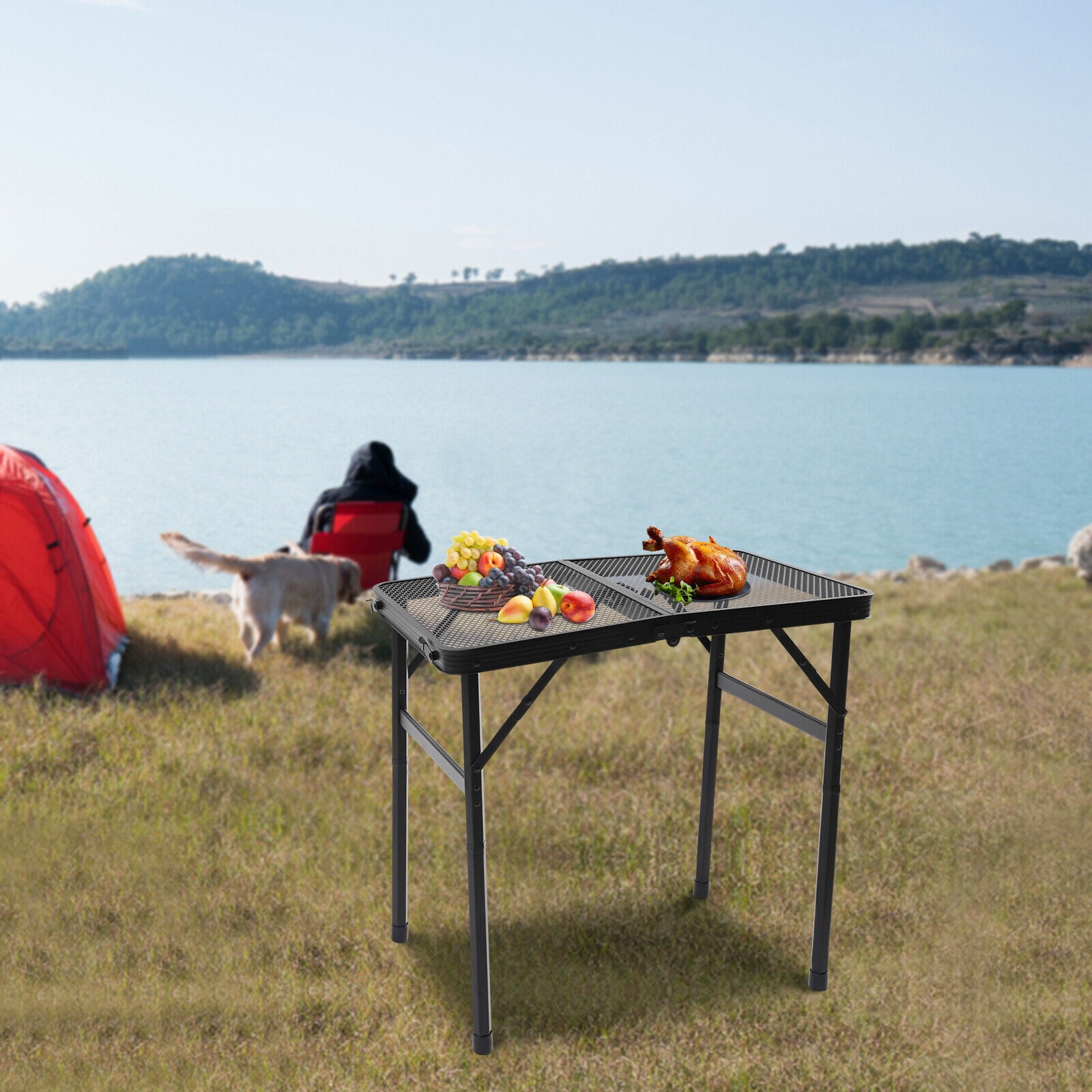 DENEST Outdoor Picnic Folding Camping Table Black Mesh Design ...