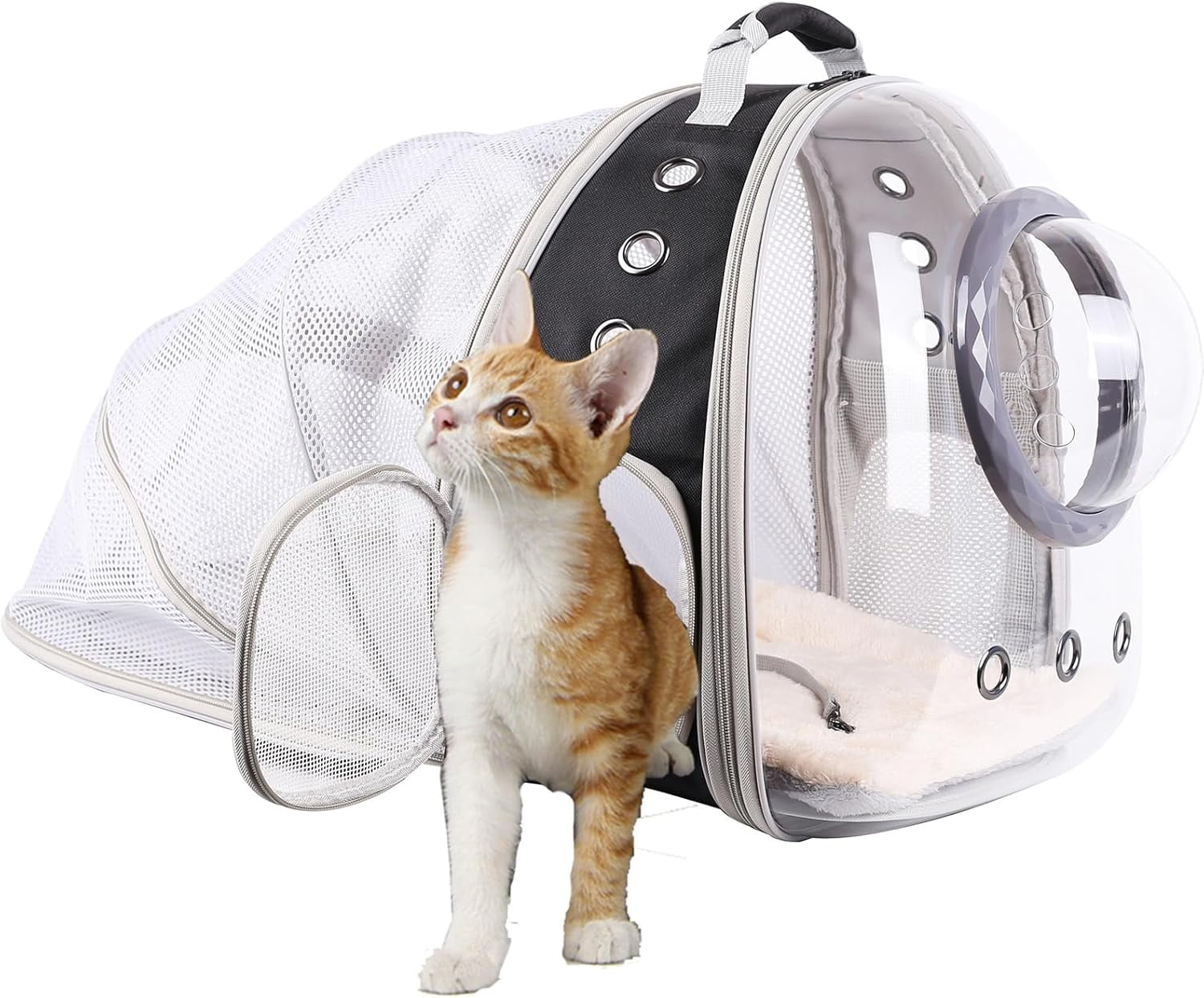 DENZUS Back Expandable Cat Backpack Carrier, Fit up to 12 lbs, Space ...