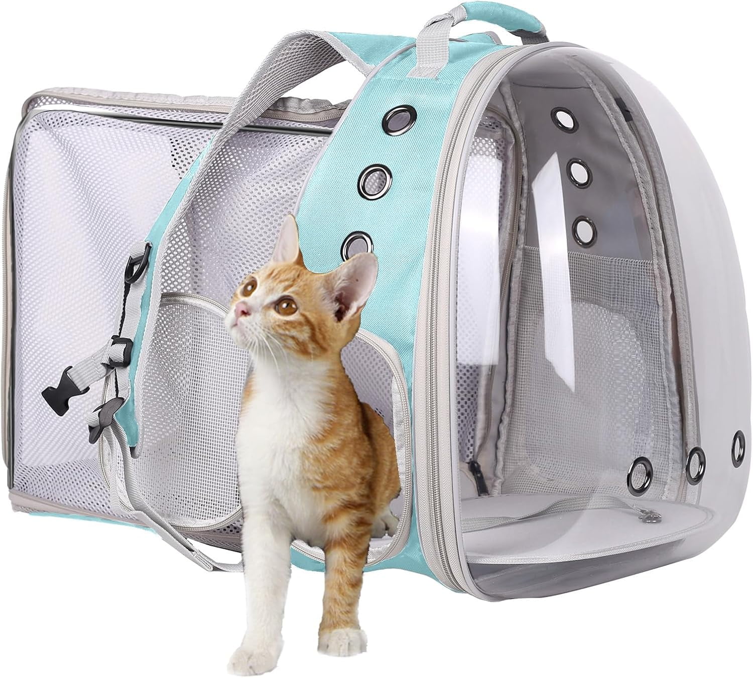 DENZUS Back Expandable Cat Backpack Carrier, Fit up to 12 lbs, Space ...