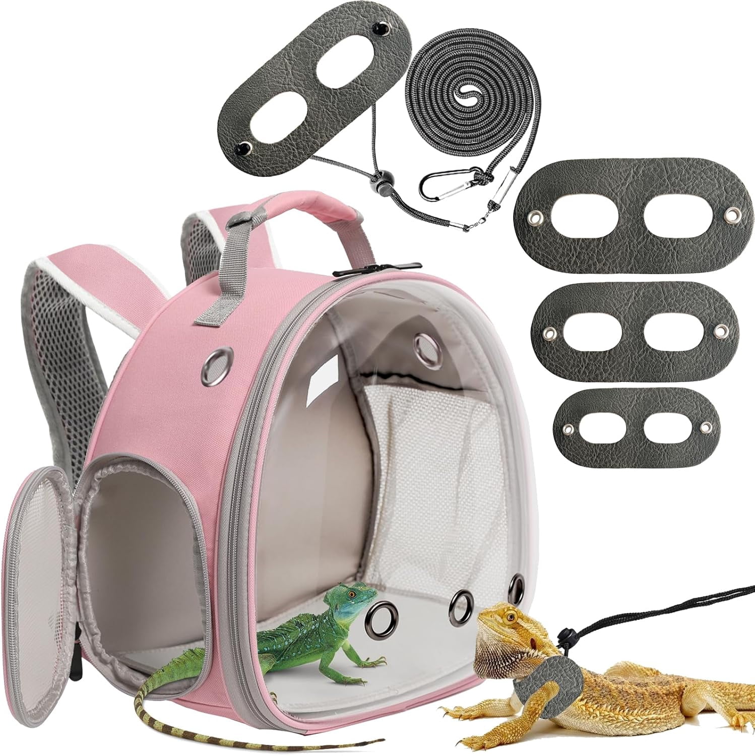DENZUS Bearded Dragon Travel Backpack with Harness and Leash Set,Lizard ...