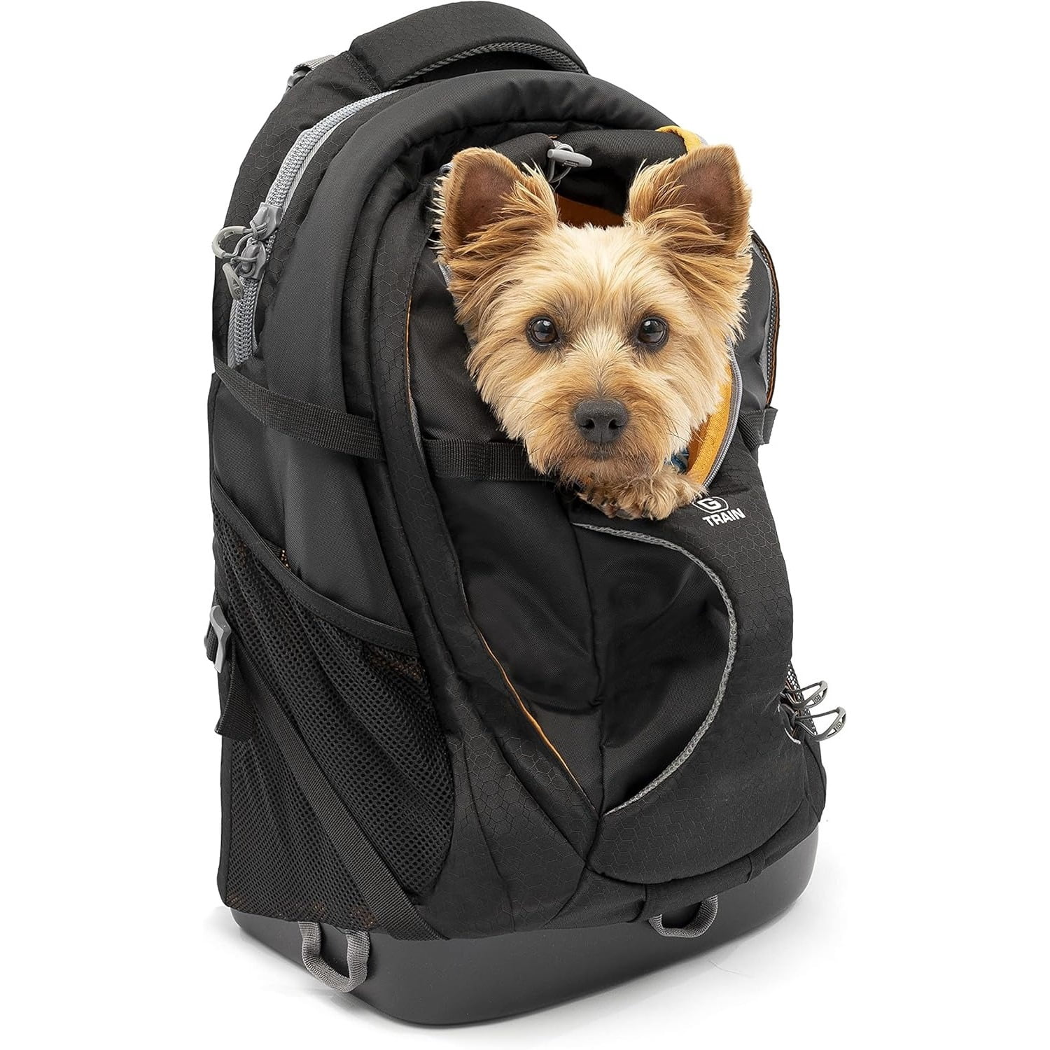 DENZUS G-Train - Dog Carrier Backpack for Small Pets - Cat & Dog ...