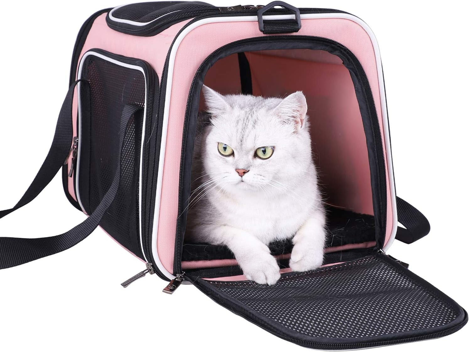 DENZUS Top Load Cat Carrier for Medium Cats and Small Dogs with ...