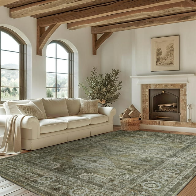 DEORAB 3x5 Ultra-thin Area Rugs for Living Room Bedroom, Machine ...