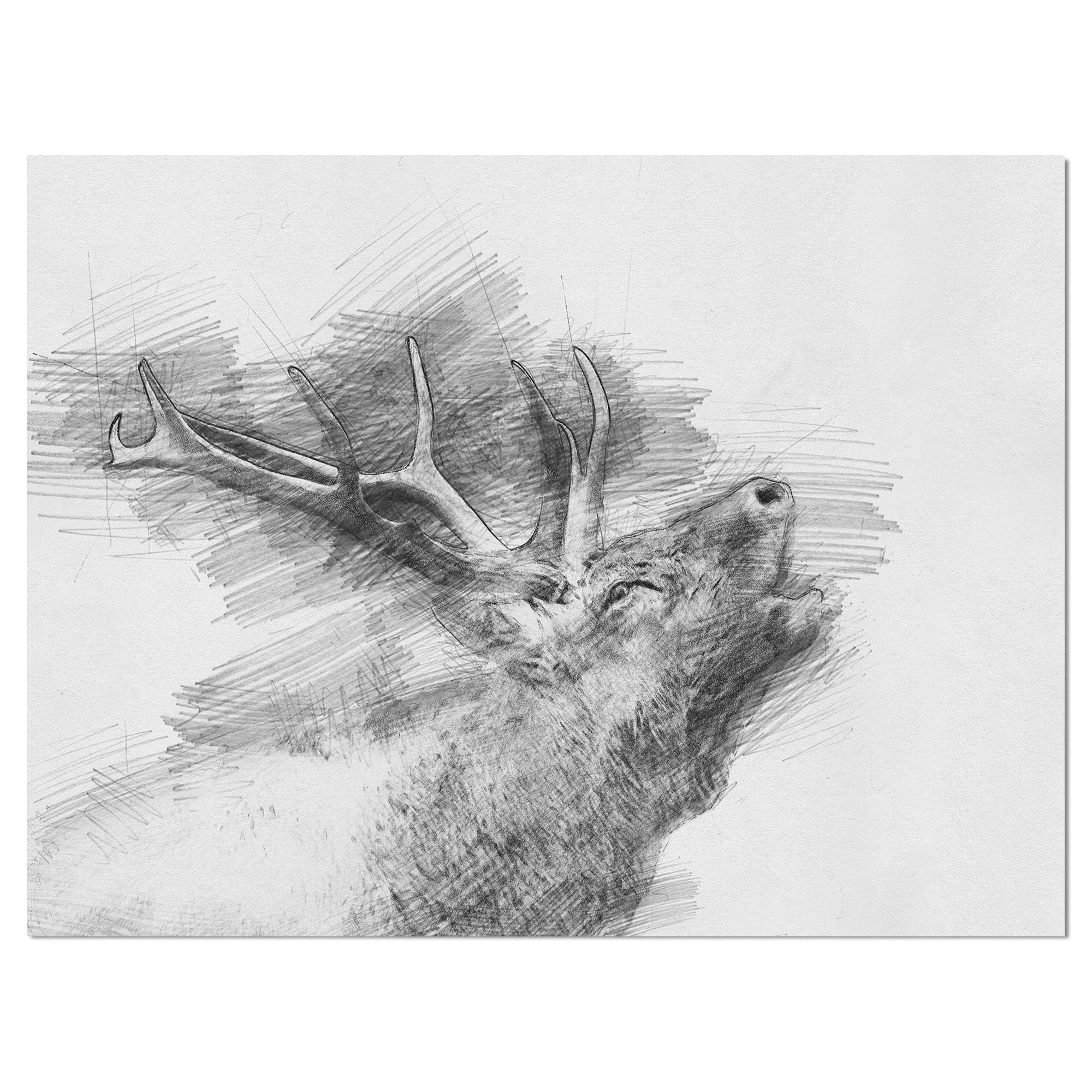 Pencil Art Drawings Animals