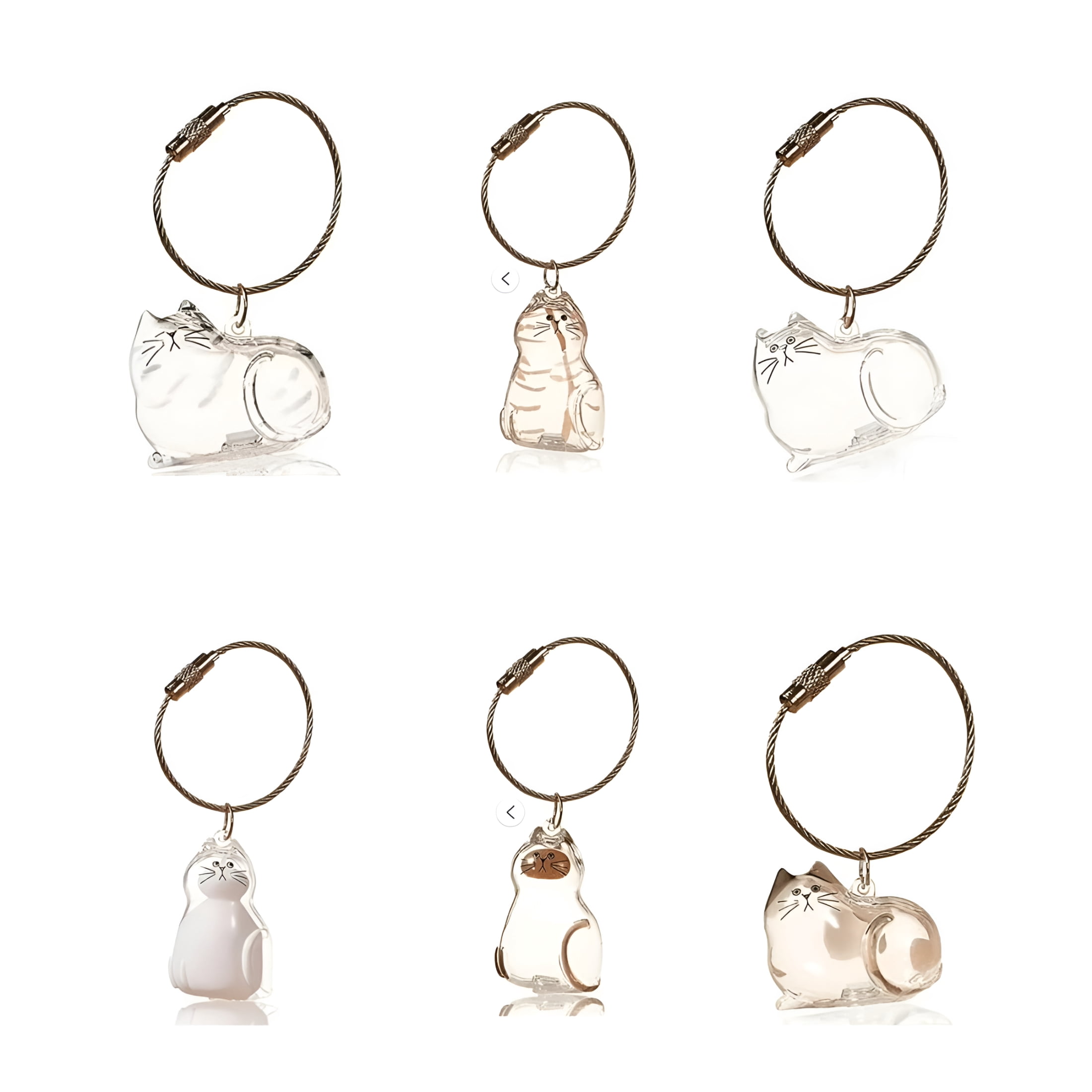 DESIGNICE 2026 New 2Pcs Cat Hair Memorial Keychain – Transparent Pet ...