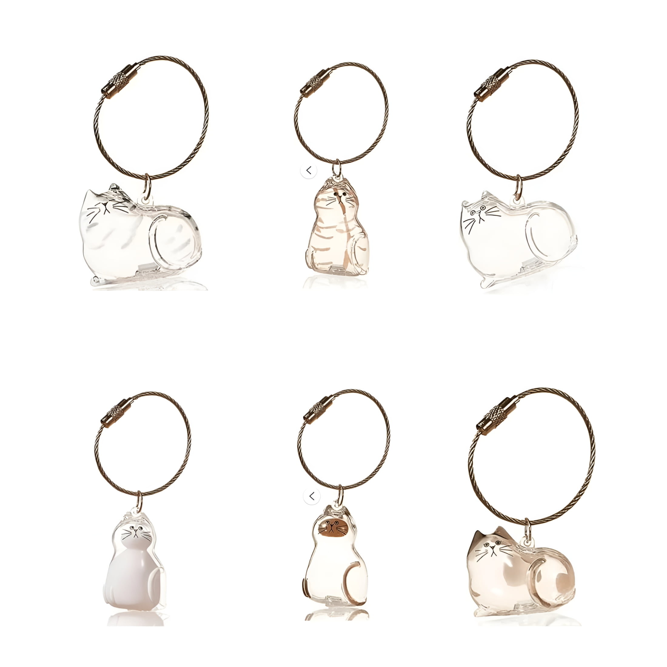 DESIGNICE 2PCS Cat Hair Memorial Keychain – Transparent Pet Fur Keepsake Capsule with 6 Styles ...