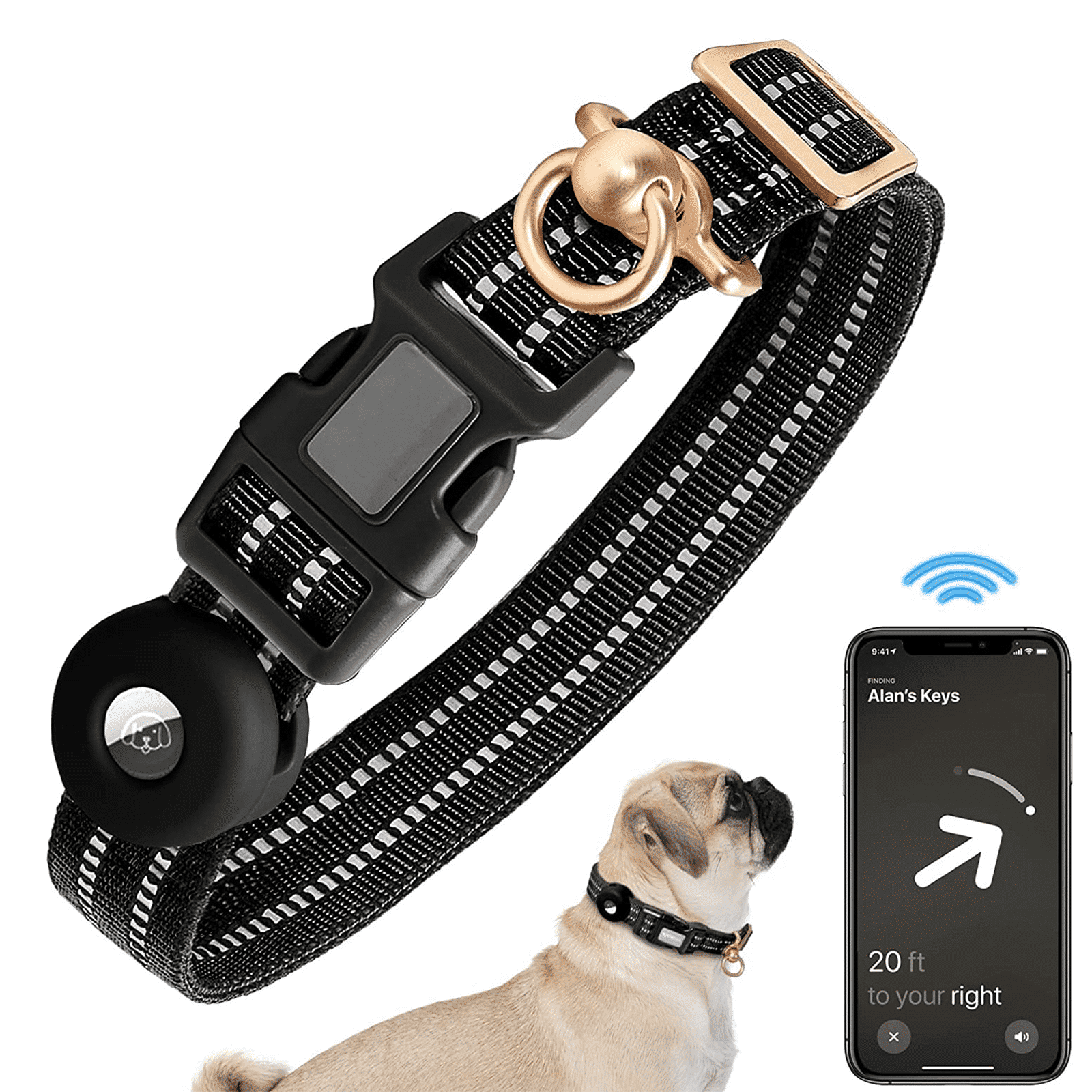DESIGNICE Light Up Dog Collar Perfect for Training Dog Light Up Collar ...