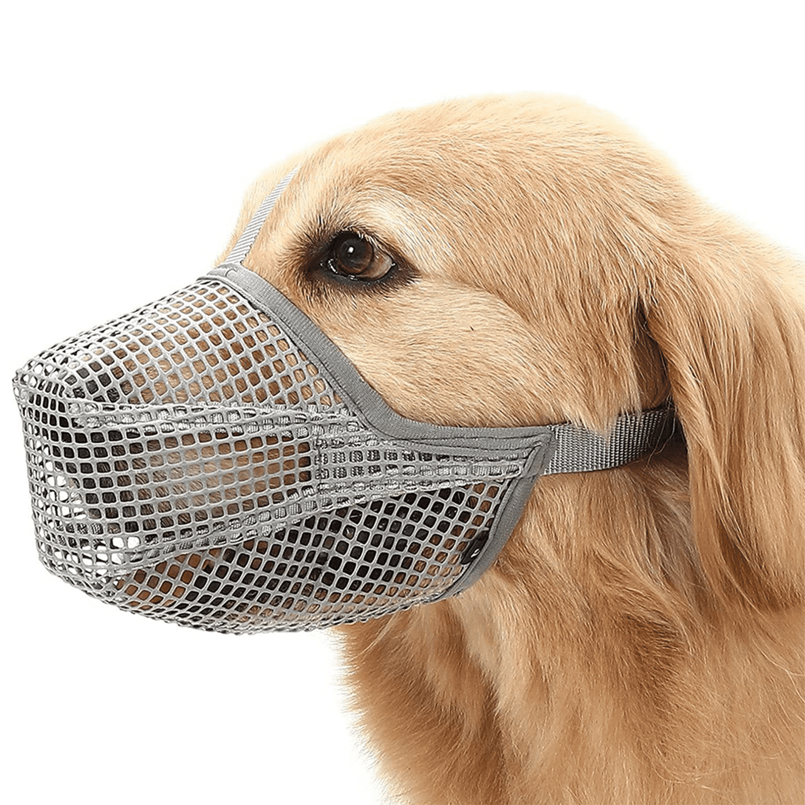 DESIGNICE Muzzle for Large Sized Dog,Safety Protection Dog Muzzle ...