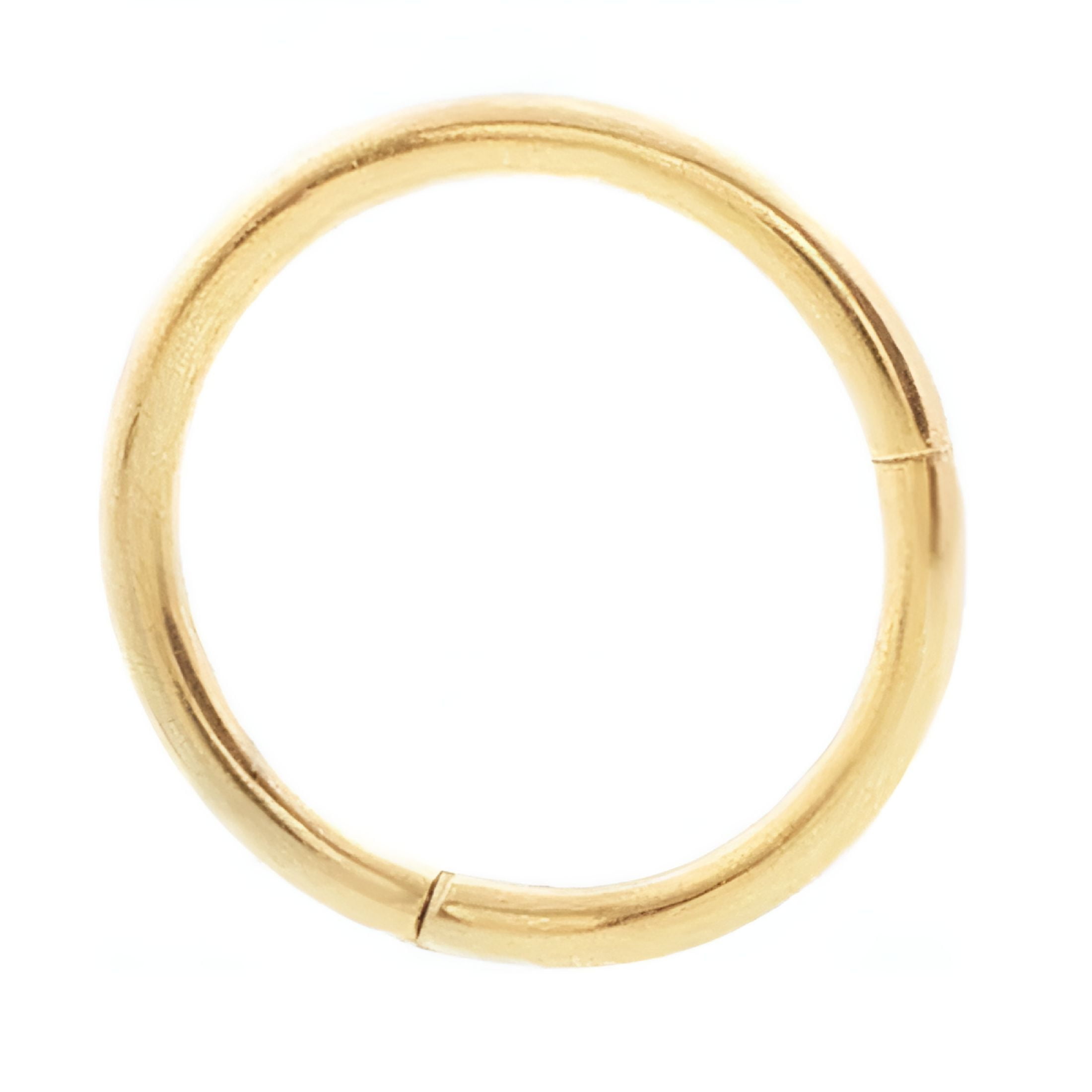 DESIGNICE Seamless Hinged Segment Sleeper Clicker Ring Hoop Ear Lip ...