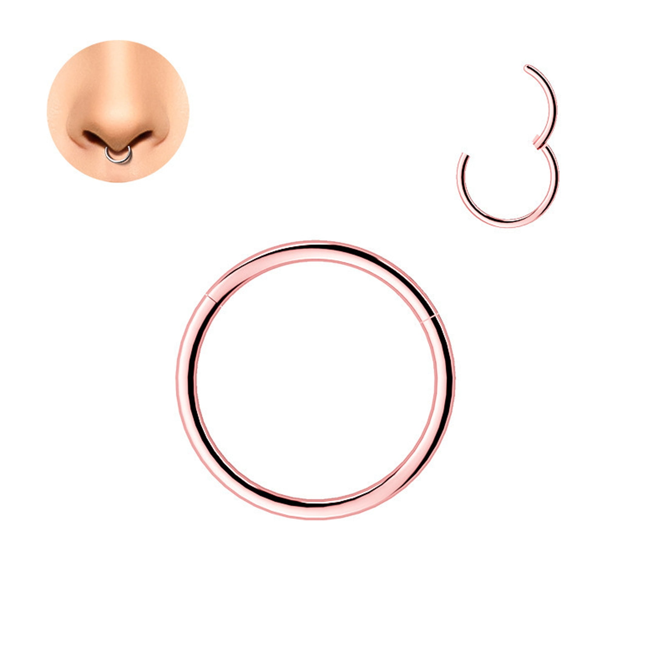 DESIGNICE Titanium Nose Rings 18G 16G 14G 12G Nose Rings Hoops Septum ...