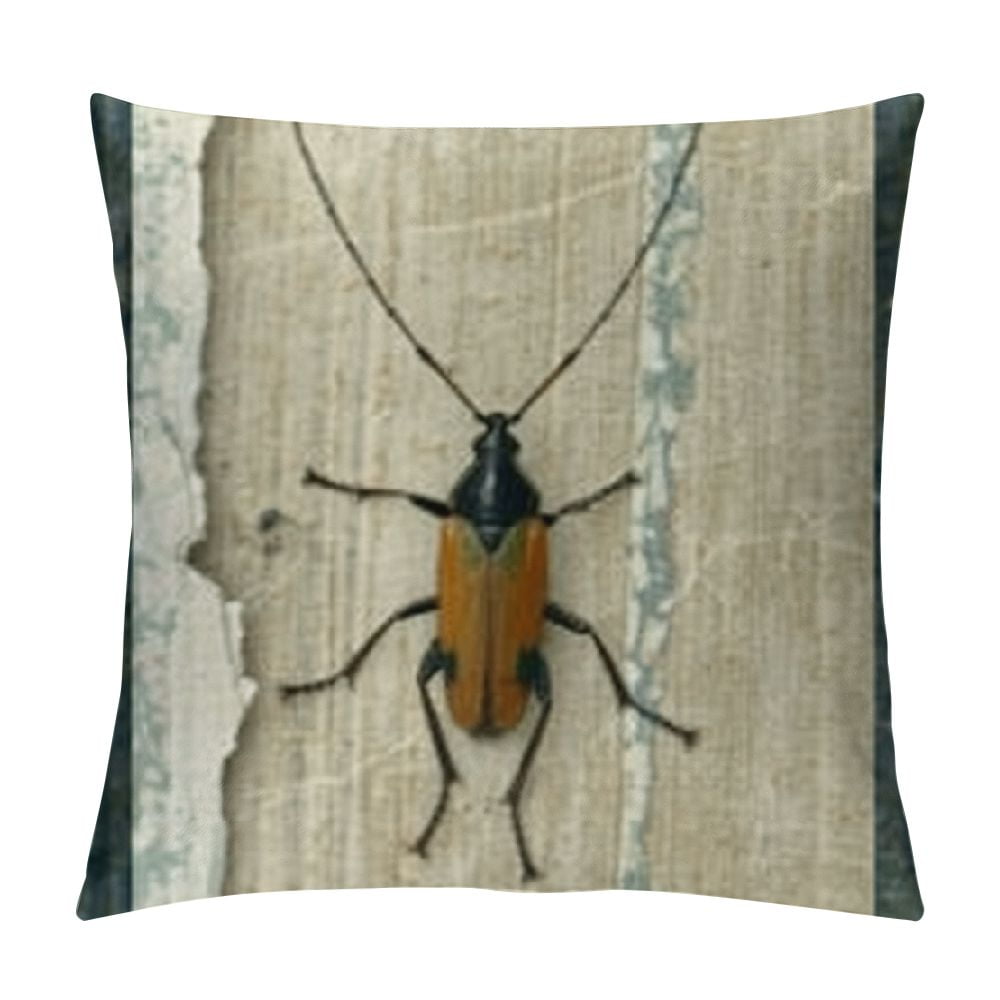 DESIGNS Beetles Pillow Cover,Decorative Throw Pillow Beetle Watercolor ...
