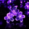 yoglam Solar Flower String Lights, 23ft 50 LED Cherry Blossoms ...