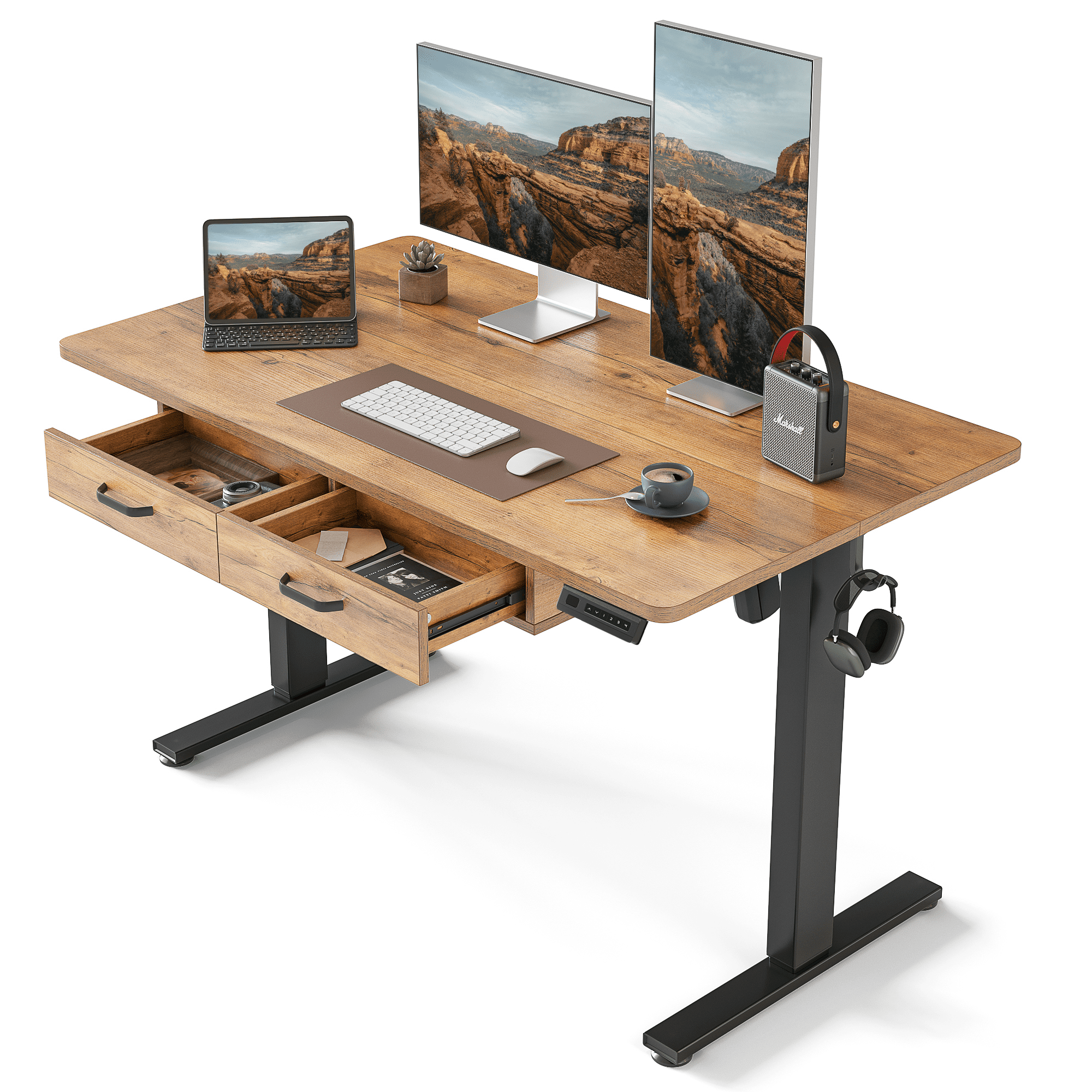 DESINO 48" × 24" Adjustable Height Electric Standing Desk with Double ...