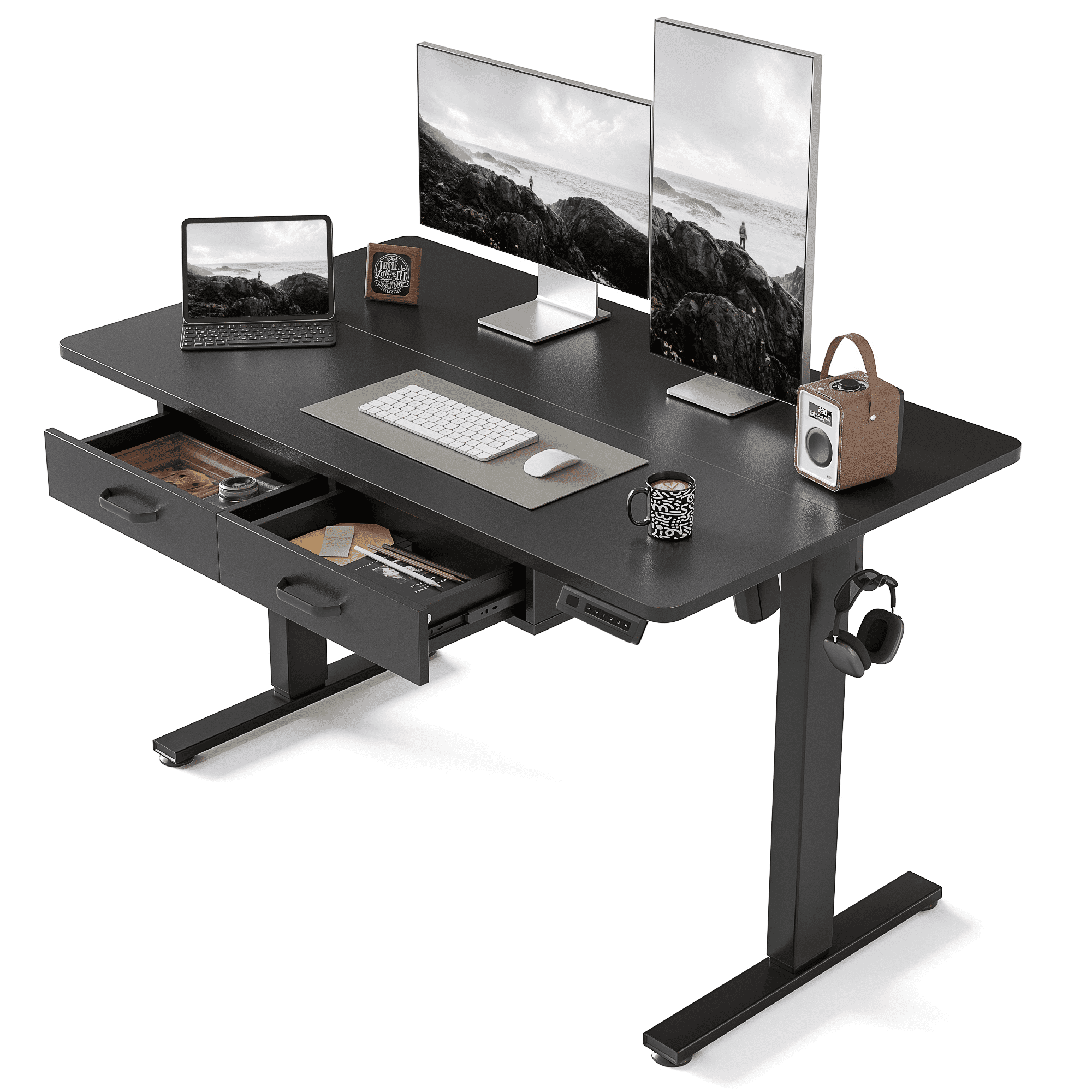 DESINO 48" × 24" Adjustable Height Electric Standing Desk with Double ...