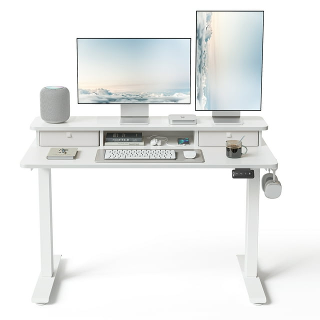 DESINO 48" x 24" Height Adjustable Electric Standing Desk with Double ...