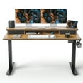 DESINO 55" x 24" Height Adjustable Electric Standing Desk with Double ...