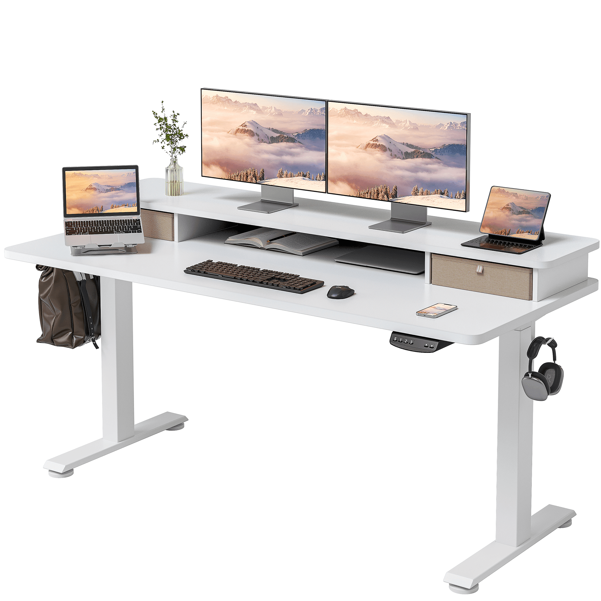 DESINO 55" x 24" Height Adjustable Electric Standing Desk with Double ...