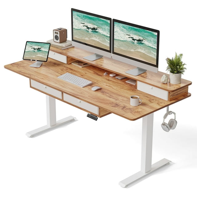 DESINO 63 x 24 Inch Height Adjustable Electric Standing Desk with ...