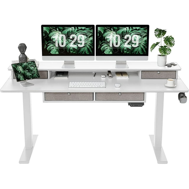 DESINO 63 x 24 Inch Height Adjustable Electric Standing Desk with ...