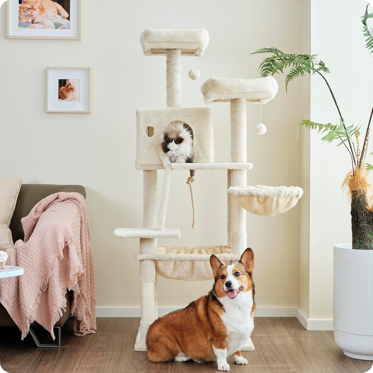 DEXS Cat Tree, 27 inch Cat Tower for Large Cat Indoor, Enlarged Condo ...