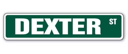DEXTER Street Sign Childrens Name Room Sign | Indoor/Outdoor | 36" Wide ...