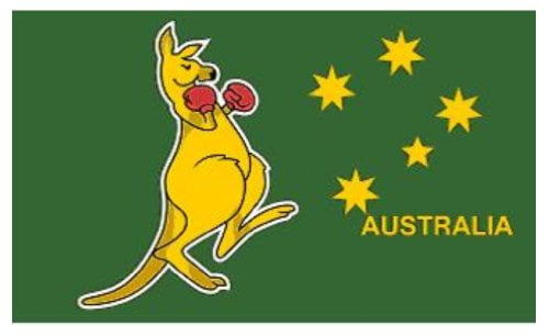 DEYOU Australia Kangaroo Flag 3x5 Feet Banner Flag - Walmart.com