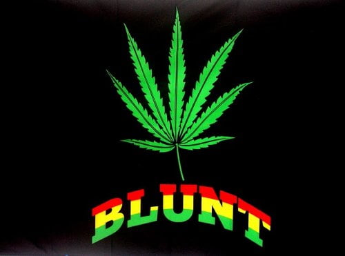 DEYOU BLUNT Flag 3x5 Feet Banner Flag - Walmart.com