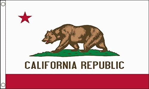 DEYOU California Flag 3x5 Feet Banner Flag - Walmart.com