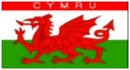 DEYOU Cymru (Wales) Flag 3x5 Feet Banner Flag - Walmart.com