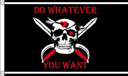 DEYOU Do Whatever You Want Flag 3x5 Feet Banner Flag - Walmart.com