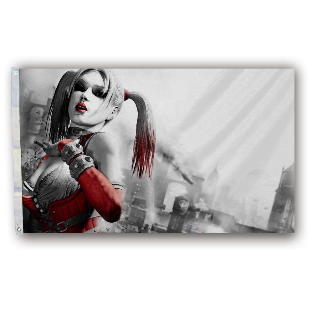 DEYOU Harley Quinn Batman Joker Flag 3x5 Feet Banner Flag - Walmart.com