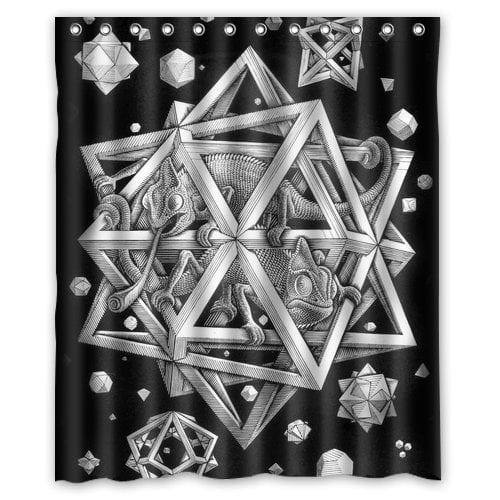 DEYOU Mc Escher Space Art Illust Lizard Shower Curtain Polyester Fabric ...