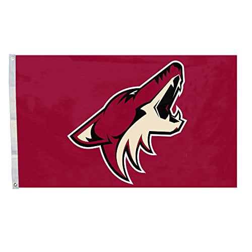 DEYOU Phoenix Coyotes Flag 3x5 Feet Banner Flag - Walmart.com