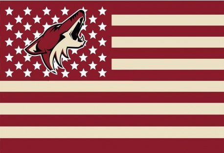 DEYOU Phoenix Coyotes Flag 3x5 Feet Banner Flag - Walmart.com