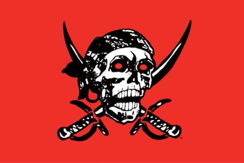 DEYOU Pirate Skull Flag 3x5 Feet Banner Flag - Walmart.com