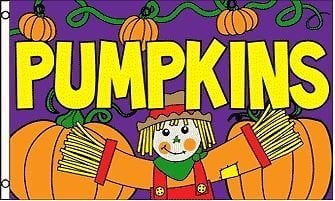 DEYOU Pumpkins Flag 3x5 Feet Banner Flag - Walmart.com