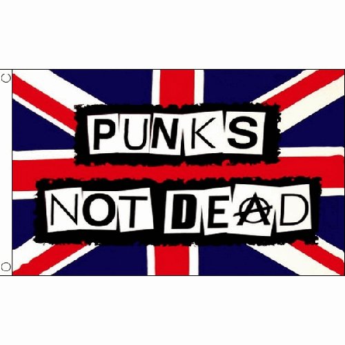DEYOU Punks Not Dead Uk Punk Rocker British Rock Flag 3x5 Feet Banner ...