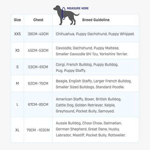 DF Co. Dog Harness | Chafe Resistant Webbing, Adjustable Neck & Chest ...