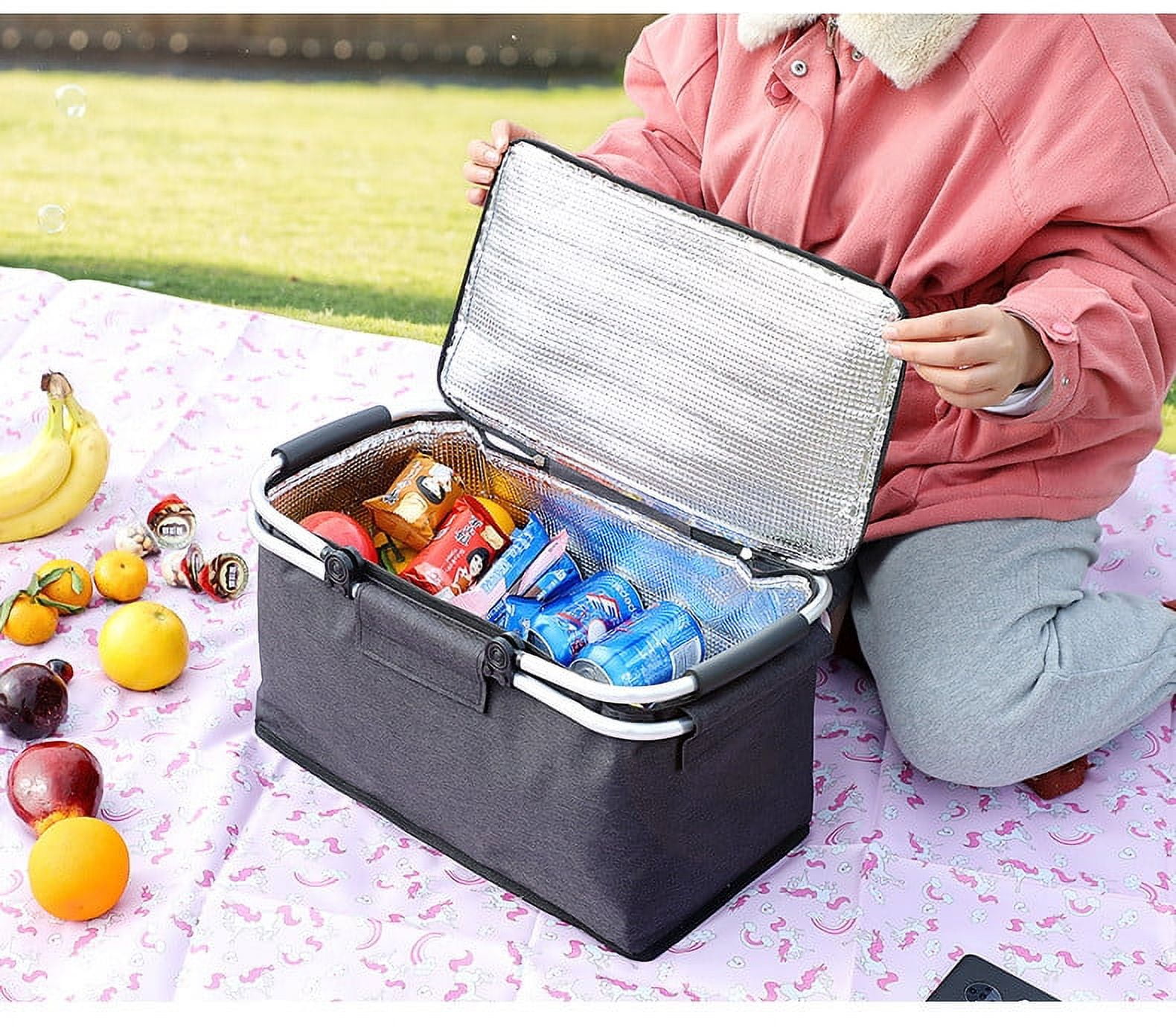 DG00 Insulated Cooler Bag With Aluminium Frame | Suitable For Picnic ...