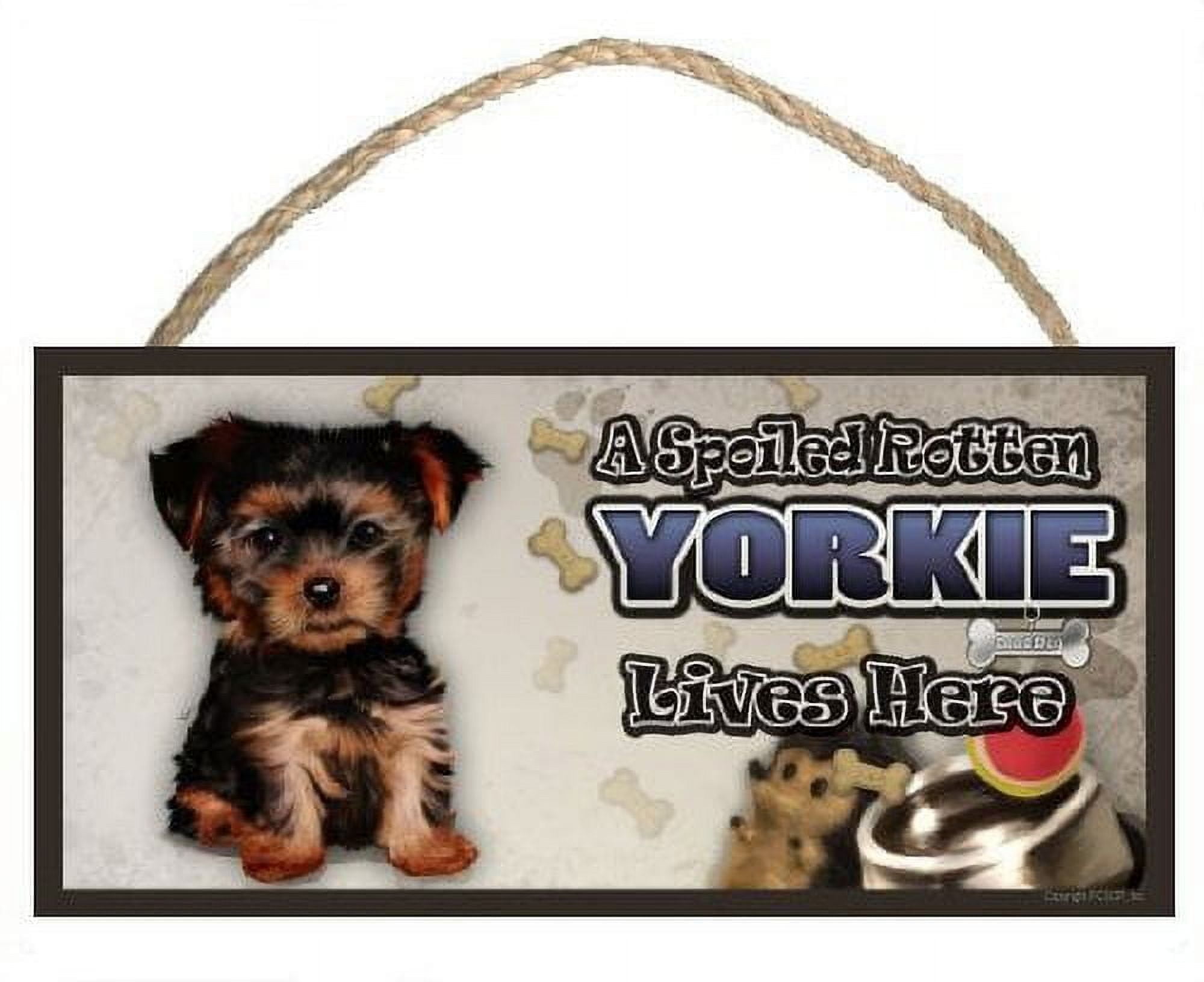 DGS Originals A Spoiled Rotten Yorkie Puppy (V2) Lives Here 5 x 10 Inch ...