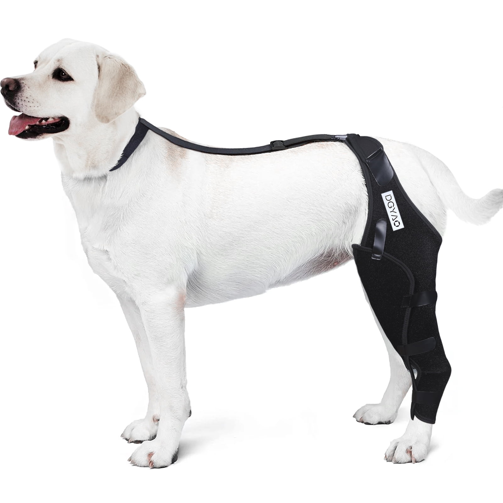 DGXINJUN Dog Knee Leg Brace Knee Cap Dislocation Arthritis Full Wrap ...