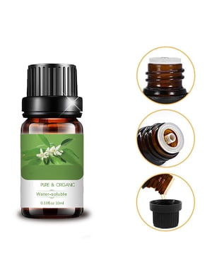 Rosemary Oil in Essential Oils - Walmart.com