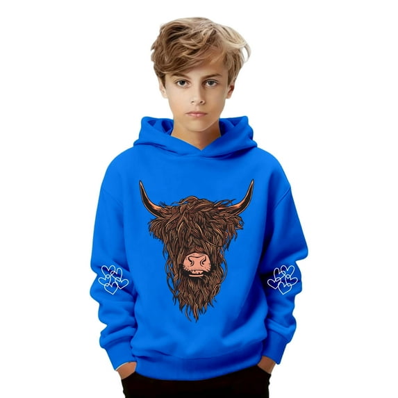 DHFJKG Boys Lightweight Hoodies Soft Pullover Long Sleeve Funny Cow ...