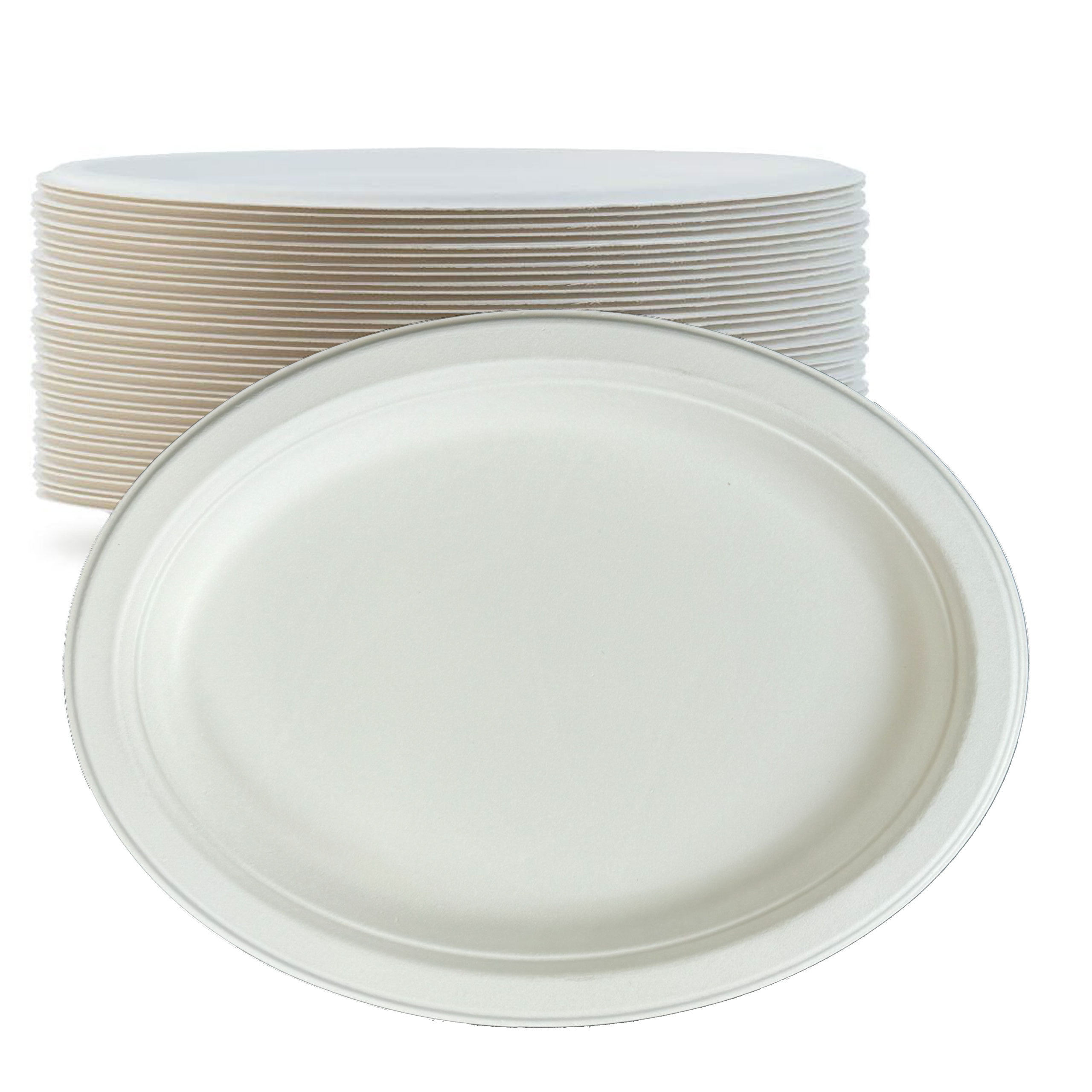 DHG PROFESSIONAL Pack of 125 Oval Plates Biodegradable Sugarcane Plates ...
