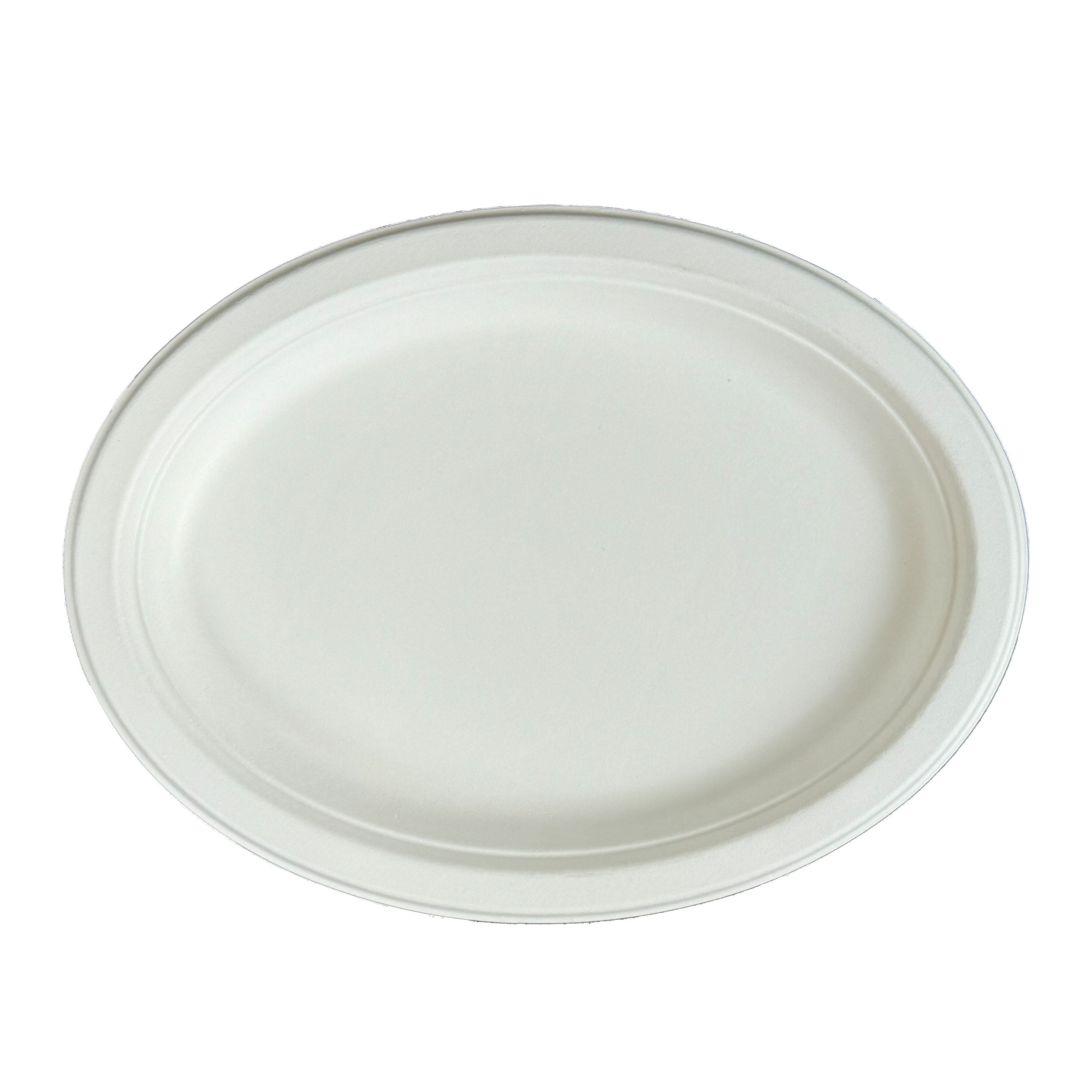 DHG PROFESSIONAL Pack of 125 Oval Plates Biodegradable Sugarcane Plates ...