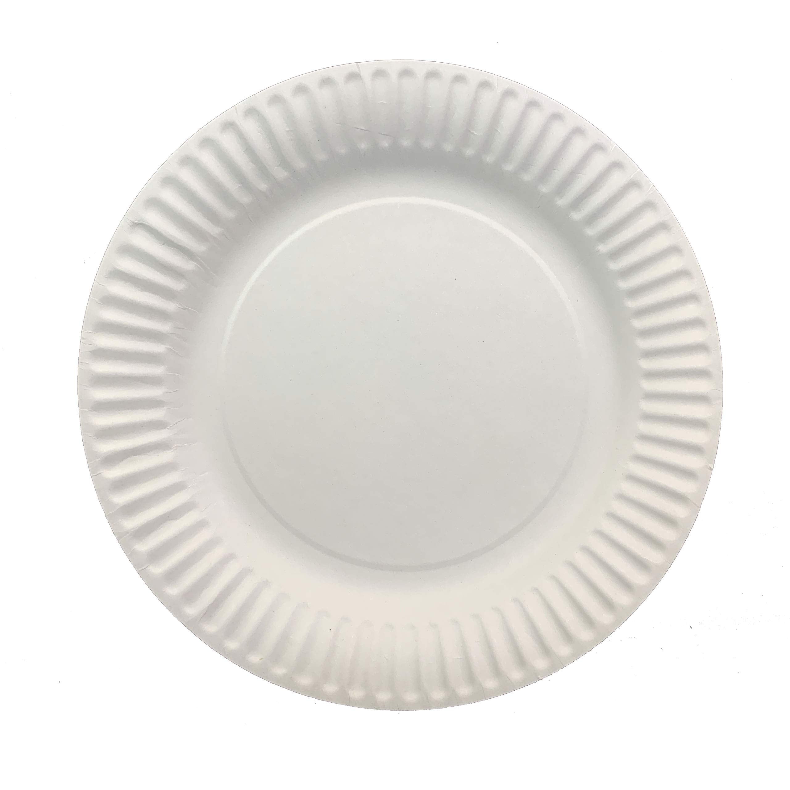 The "Green" Standard 9-Inch Paper Plates Uncoated, White 100 Plates ...
