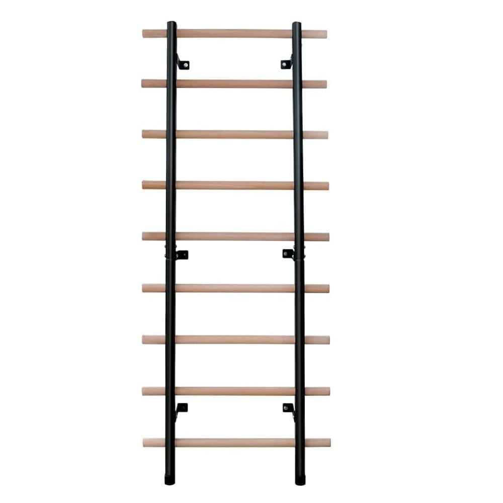 DHT Dynamic Health Tech WA2 Wall Mount Stall Bar Swedish Ladder ...